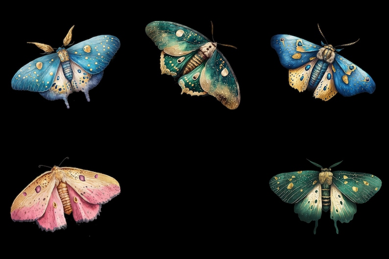 Watercolour Mystical Moth Clipart Wiccan Png Moth Png - Etsy