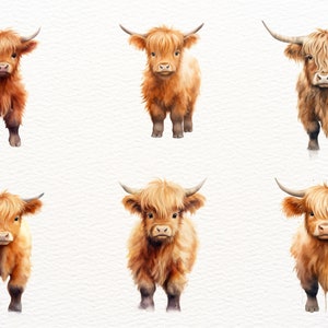 Cute Watercolour Highland Cow Clipart Bundle, Cute Animals, Cow Clipart ...