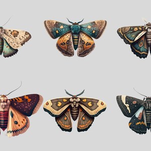 Watercolour Mystical Moth Clipart Bundle, Wiccan Png, Moth Png ...