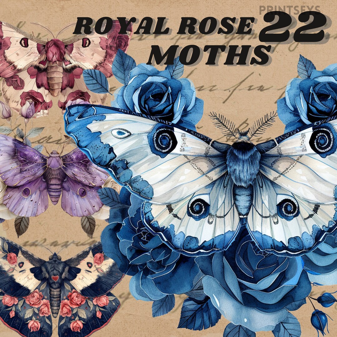 Watercolour Whimsical Royal Moth Clipart Bundle, Wiccan Png, Moth Png ...