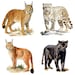 Best BIG Cat Clipart Bundle, Tiger, Lion, Lynx, Cheetah, Jaguar Png ...