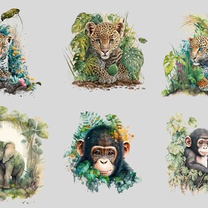 Cute Watercolour Jungle Animal CLIPART, Tigers, Monkeys, Elephants ...
