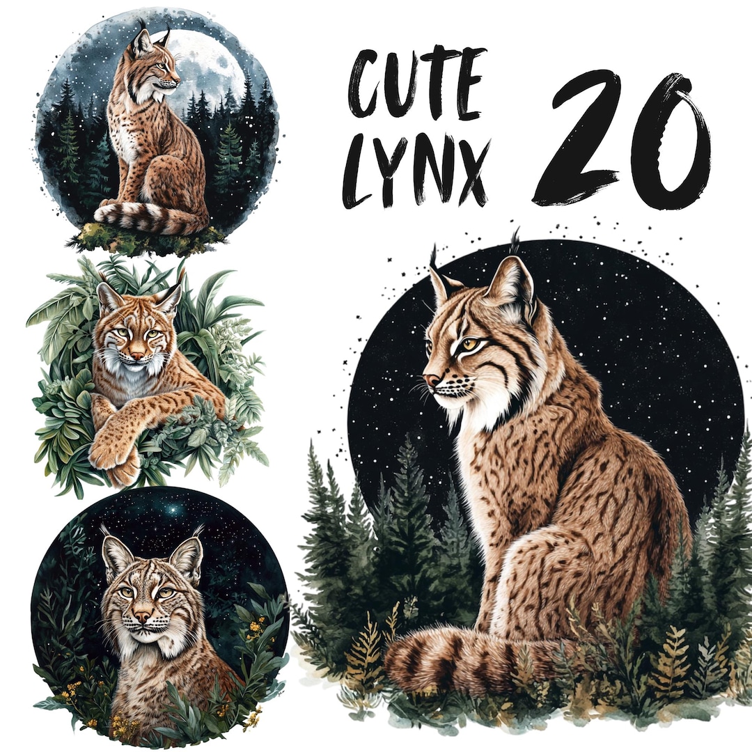 Stunning Lynx Clipart Set, Animal PNG Stickers, Fantasy Png Set Digital ...