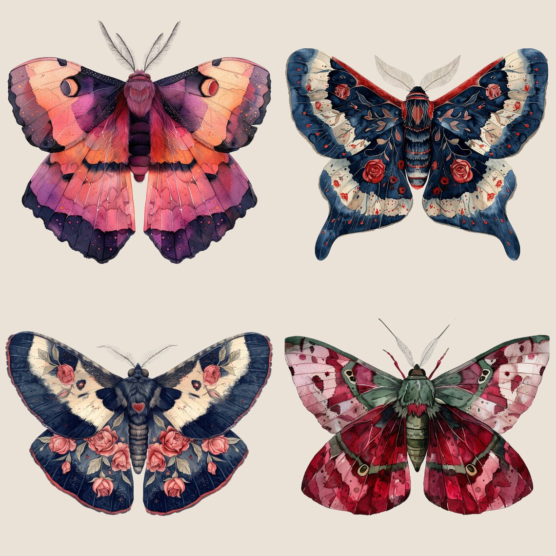 Watercolour Whimsical Royal Moth Clipart Bundle, Wiccan Png, Moth Png ...