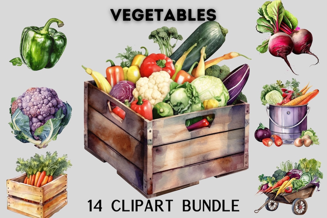 Watercolour Vegetable Clipart Bundle, Veggie Clipart, Pepper, Potatoes ...