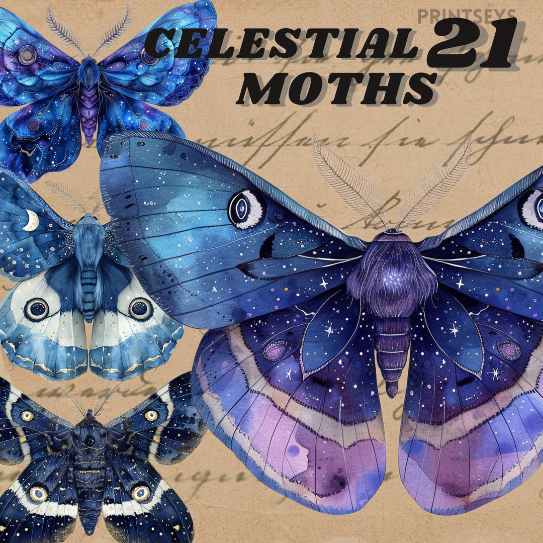 Watercolour Whimsical Celestial Moth Clipart Bundle, Wiccan Png, Moth ...