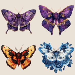 Watercolour Whimsical Royal Moth Clipart Bundle, Wiccan Png, Moth Png ...