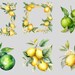 Watercolour Citrus Fruit Clipart Bundle, Orange, Lemon, Lime Clipart ...