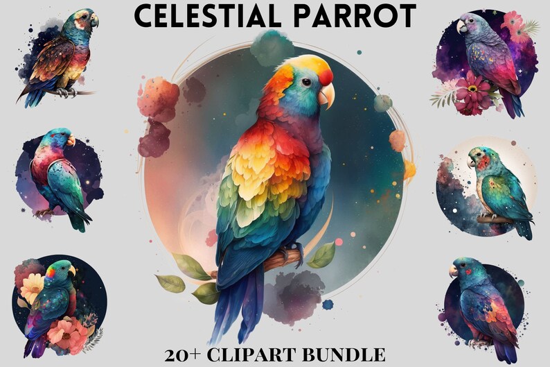Celestial Parrot Clipart Bundle Bird Png Magic Clip Art - Etsy