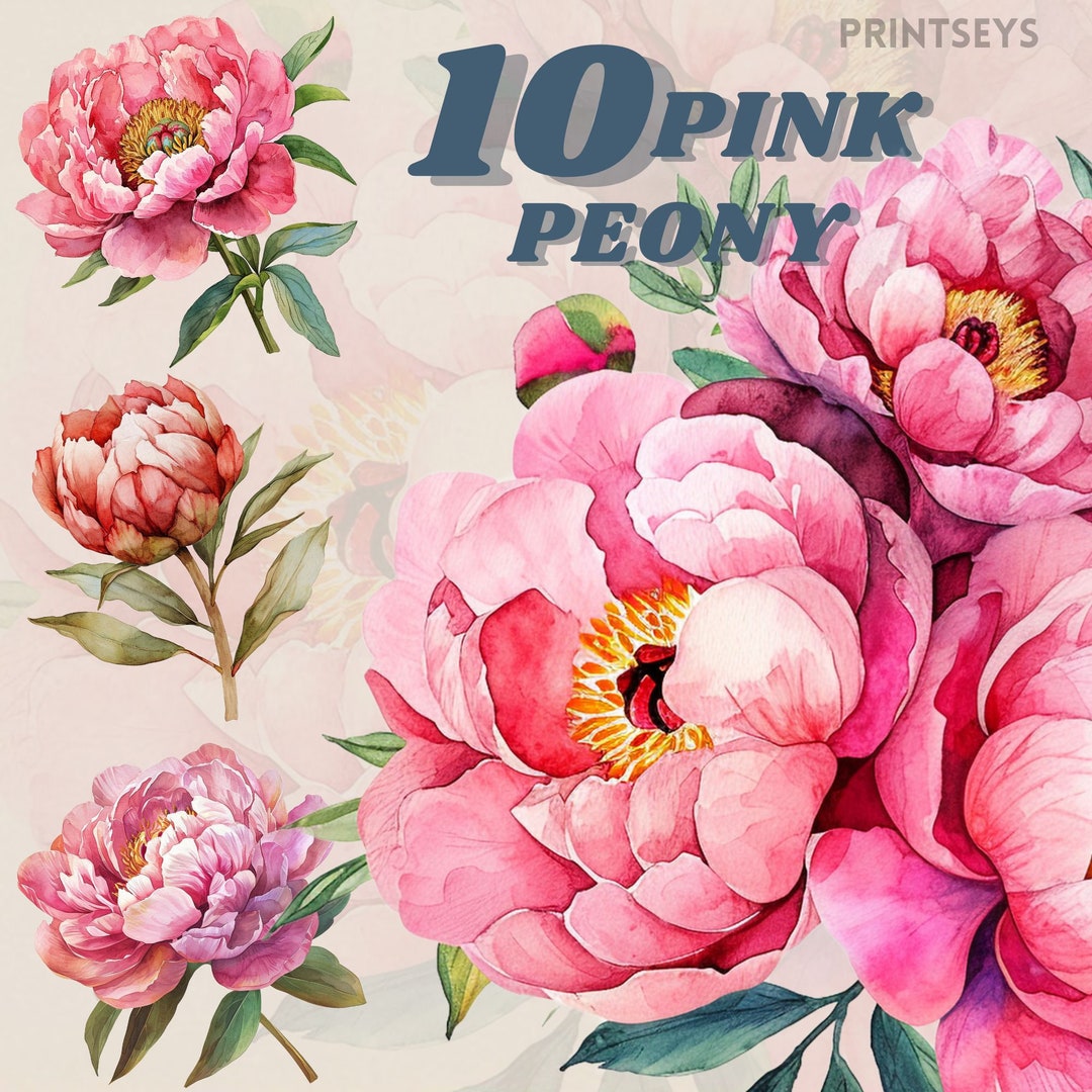 Watercolour Pink Peony Digital Sticker, Peony Clipart, Romantic Peony ...