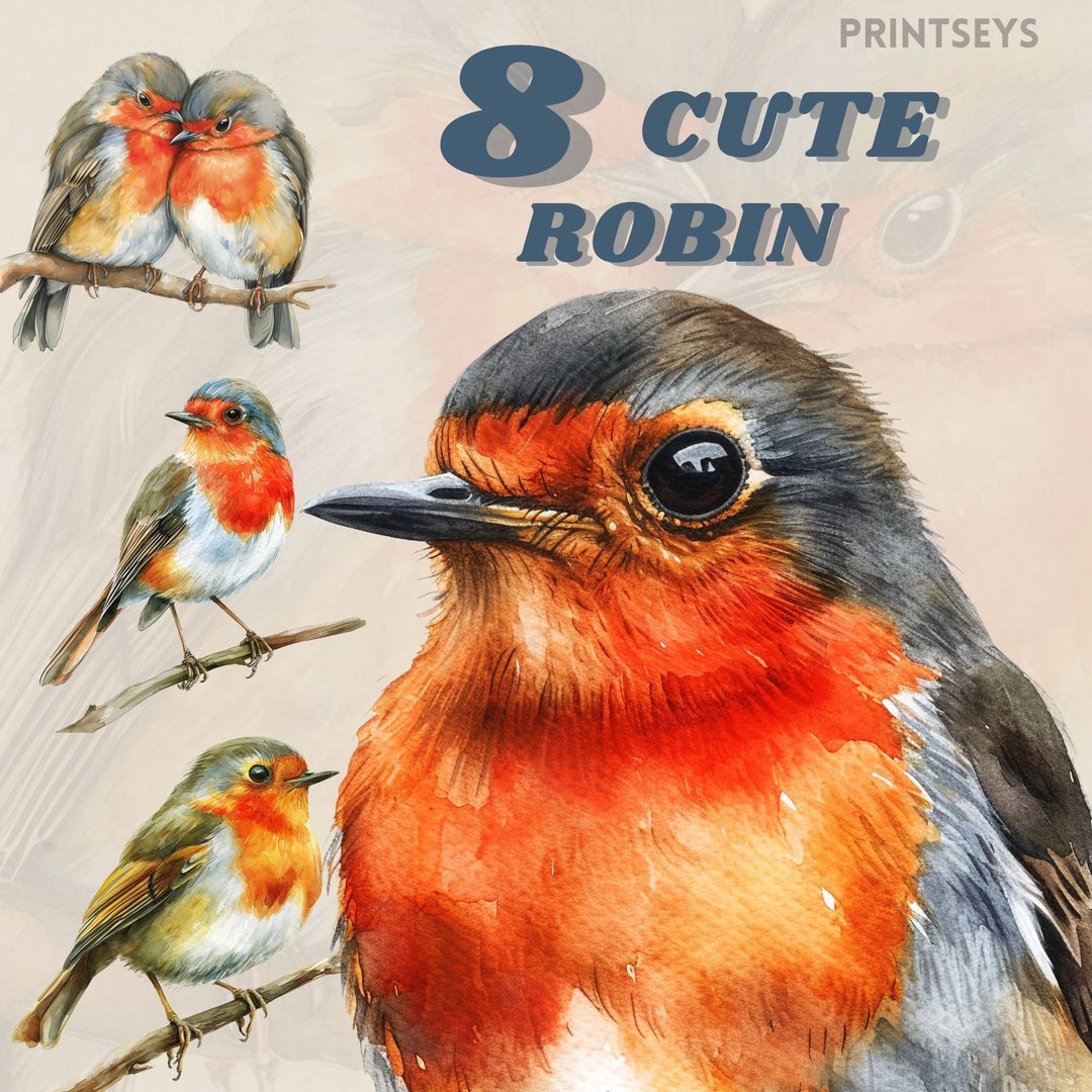 Cute Watercolour Robin Bird Clipart Bundle, Cute Animals, Cute Bird ...