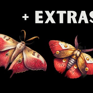 Watercolour Mystical Moth Clipart, Wiccan Png, Moth Png, Mystical ...