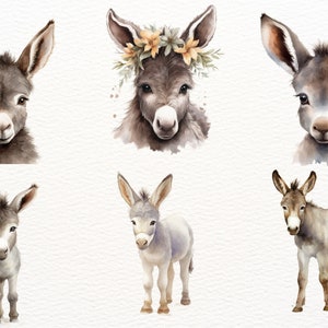 Cute Watercolour Donkey Clipart Bundle, Cute Donkeys, Animal Clipart ...