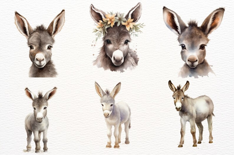 Cute Watercolour Donkey Clipart Bundle, Cute Donkeys, Animal Clipart ...