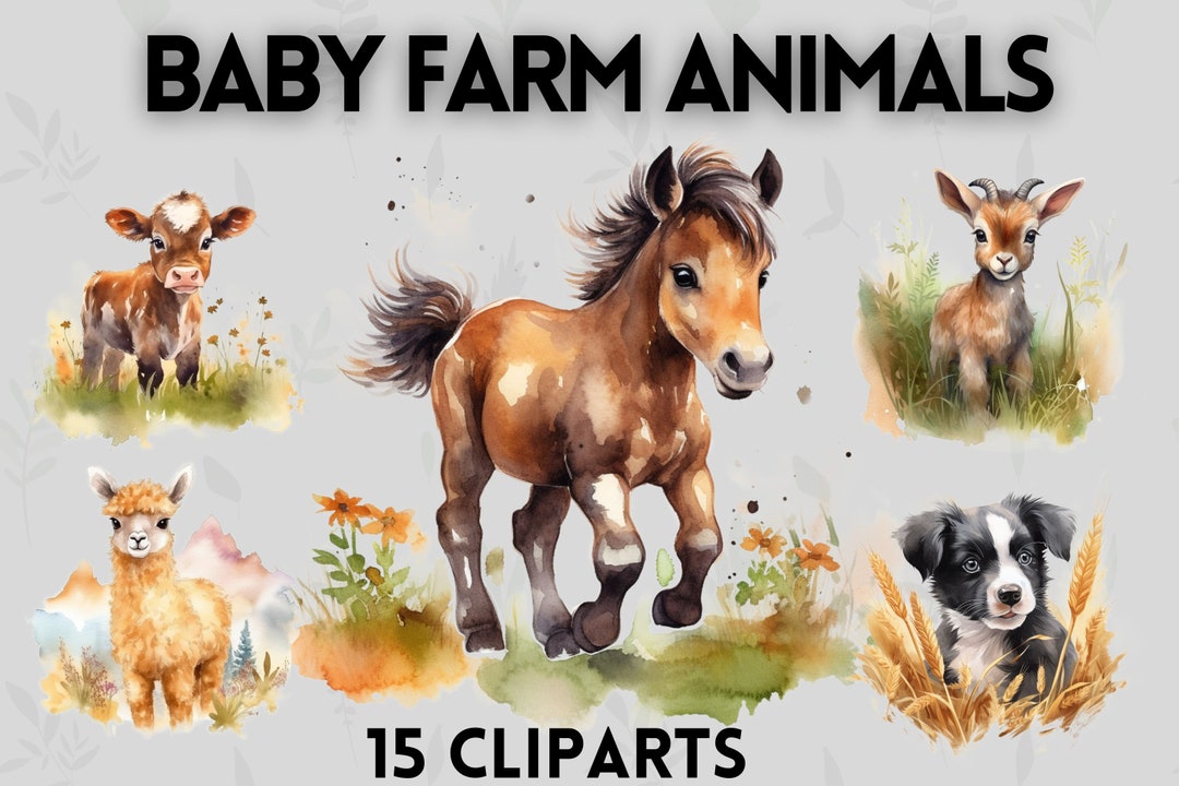 Cutest Watercolour Baby Farm Animal Clipart Bundle, Lamb,cow, Piglet ...