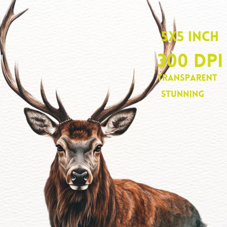 Cute Red Deer Clipart Set, Animal PNG Stickers, Fantasy Woods Png Set ...