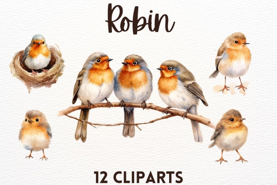 Robin Clip Art