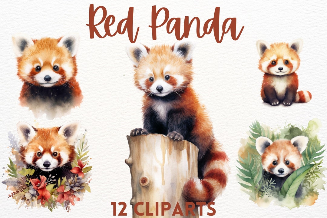 Cute Watercolour Red Panda Clipart Bundle, Cute Animals, Baby Panda ...