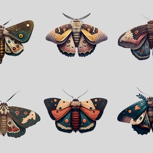 Watercolour Mystical Moth Clipart Bundle, Wiccan Png, Moth Png ...