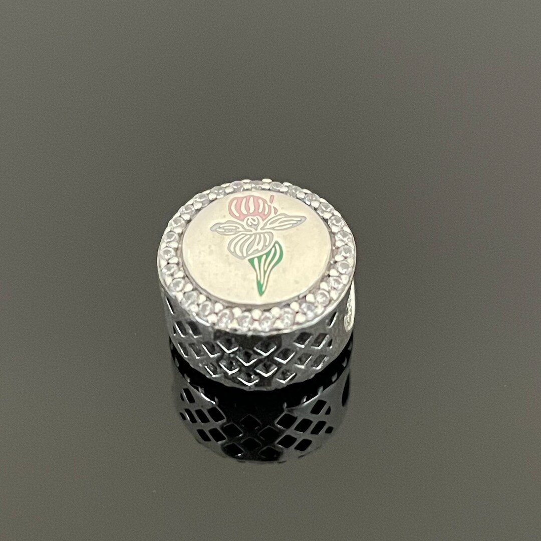 Authentic Pandora | Pandora Pandora Minnesota Bead Charm the Pink and ...