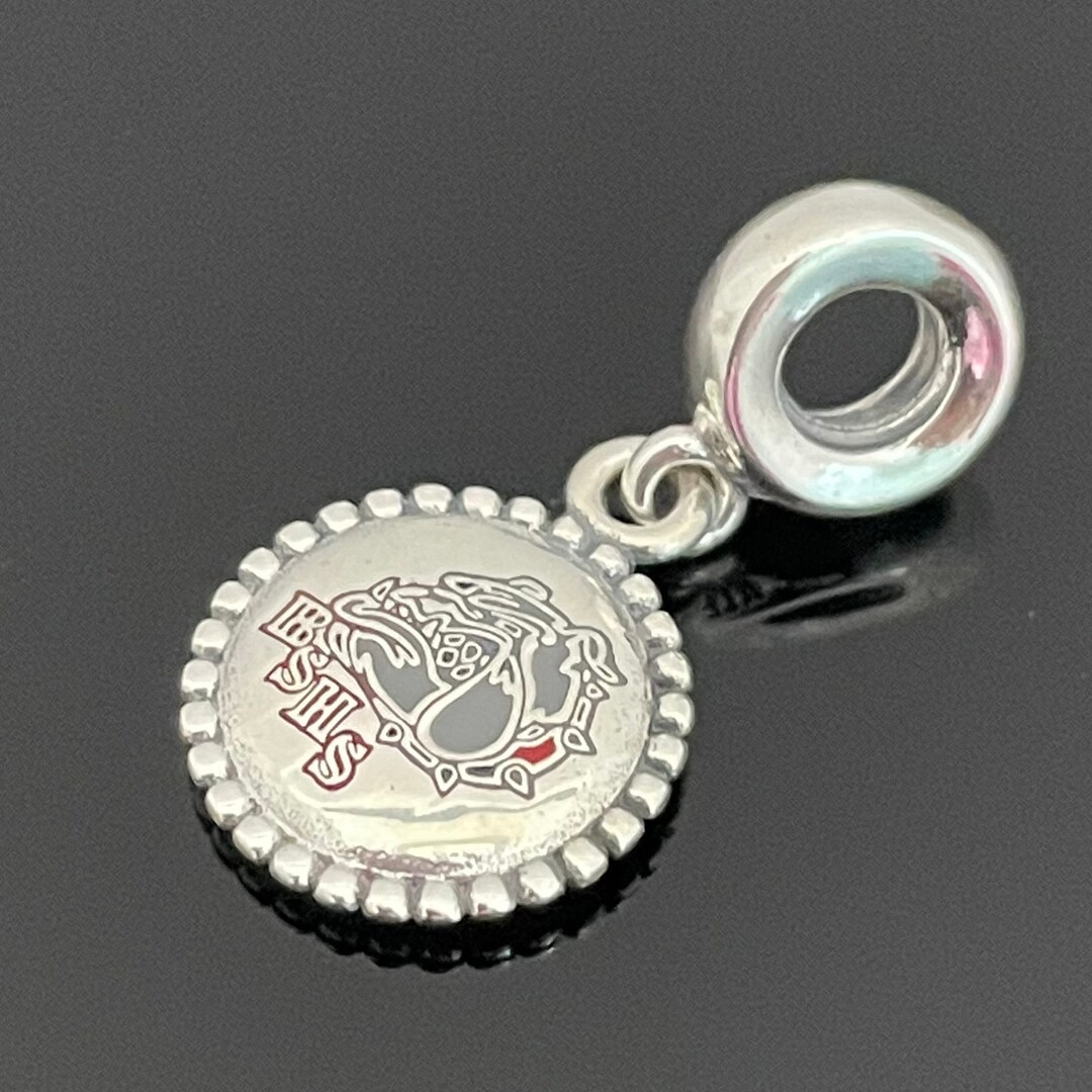 New Pandora Silver Charms for Women Charm Bead Jewllery Gifts | Charm ...