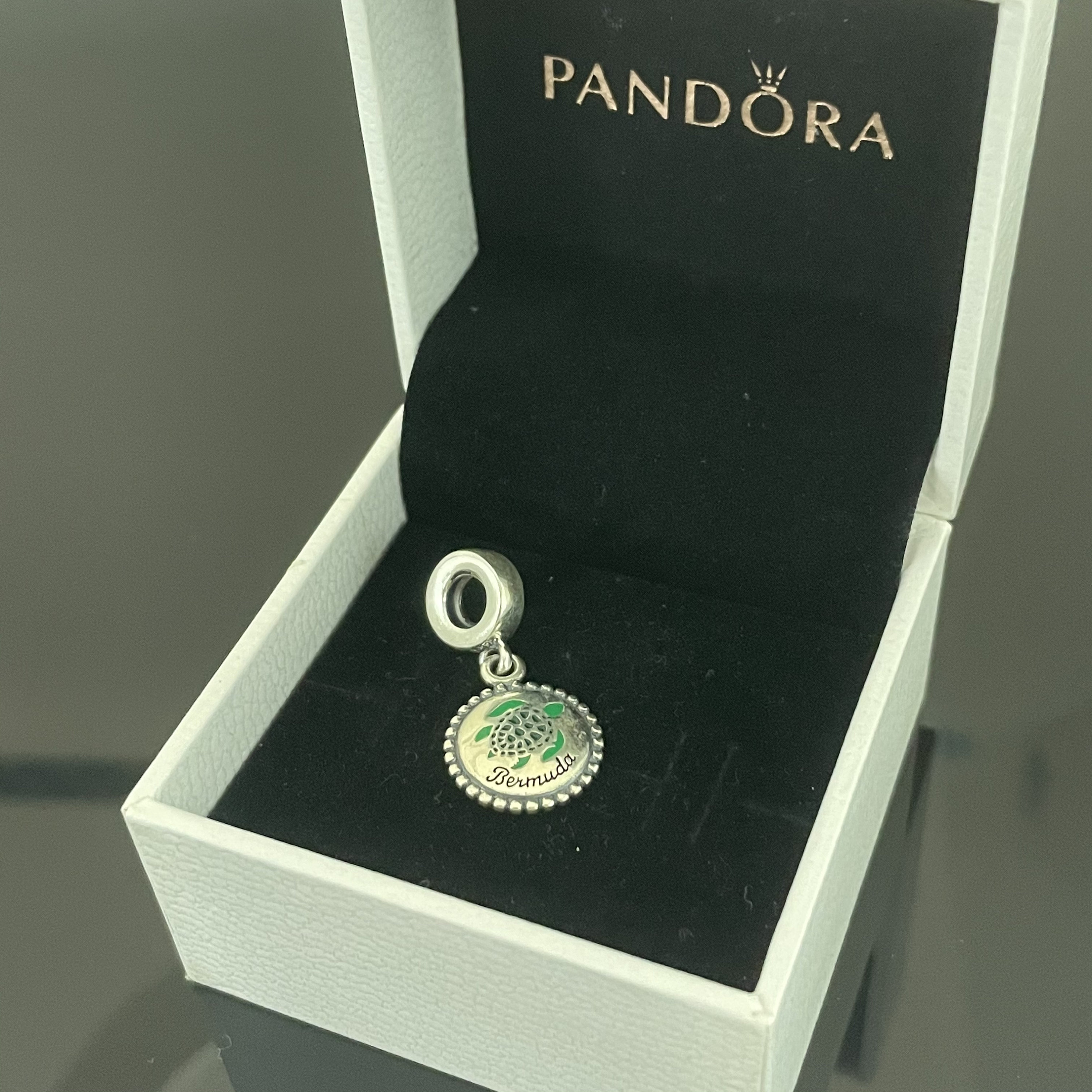 Pandora Bermuda Green Turtle Animal Dangle Charm 925 Jewelry - Etsy