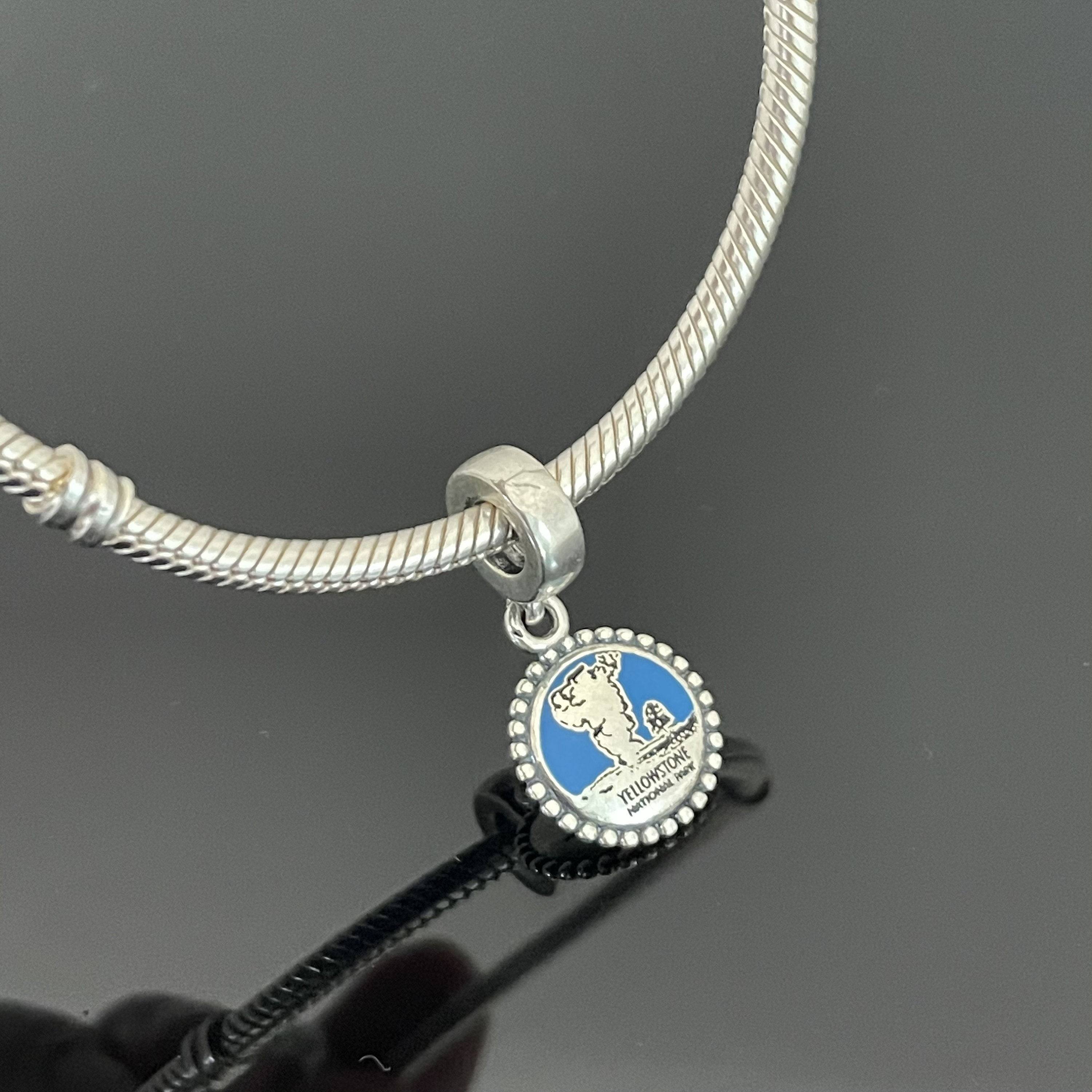 Yellowstone National Park Jewelry