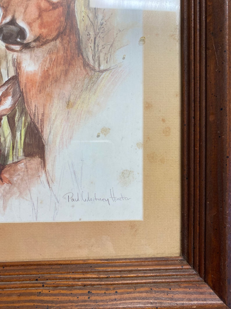 Paul Whitney Hunter Deer and Fawn Signed Wood Framed Print - Etsy
