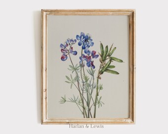 Antique Botanical Print Vintage Flower Painting Rustic Farmhouse Decor ...
