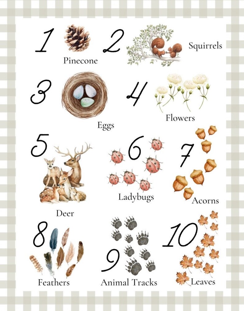Counting Poster - Etsy
