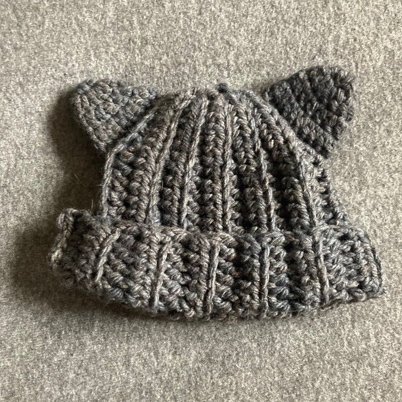 Custom Crochet Chunky Cat Beanie - Etsy