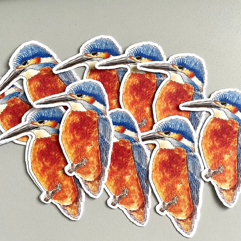 The King of the River… Kingfisher Watercolour Sticker - Bird Art ...
