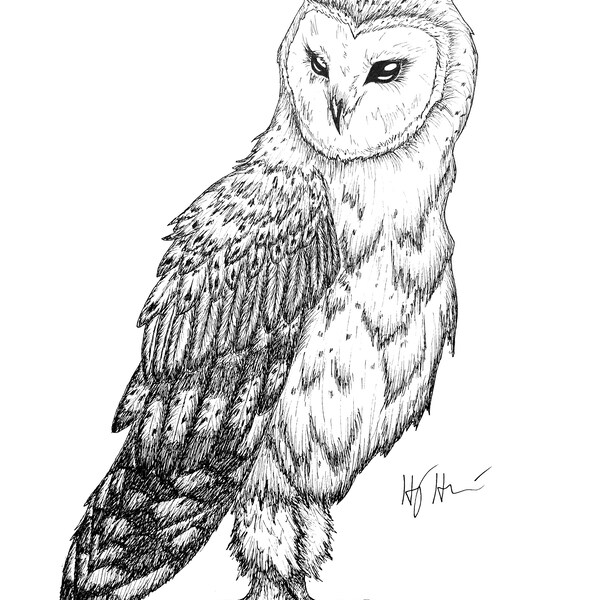 Owl Ink Drawing - Etsy