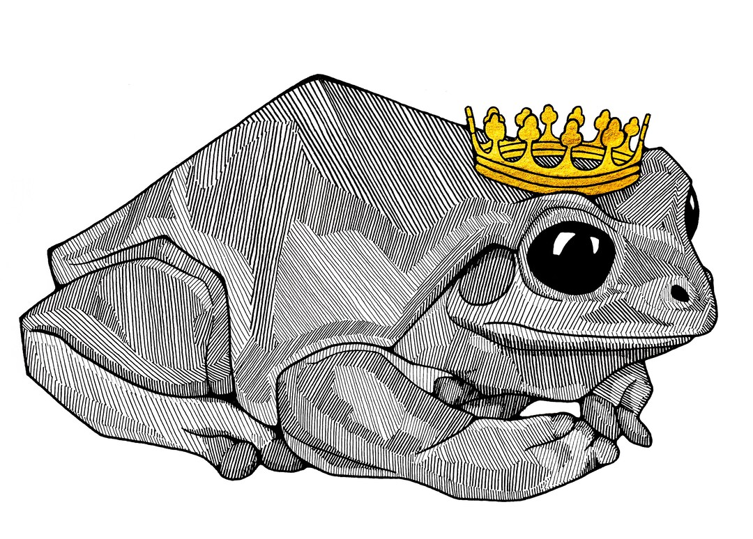 FROG PRINCE Archival Print Frog Fine Art Print Pen and Ink Drawing ...