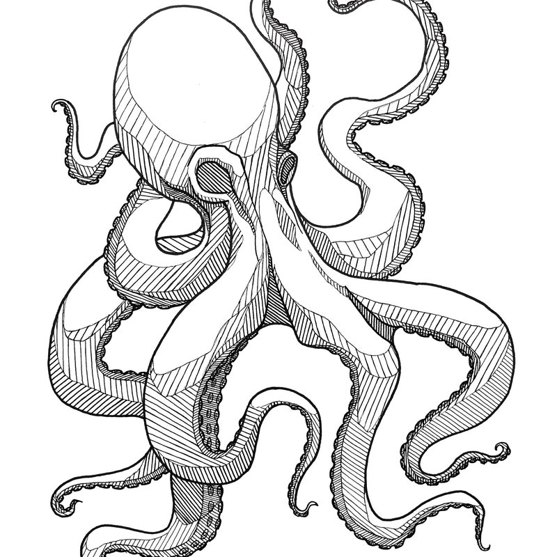 Geometric Octopus - Etsy