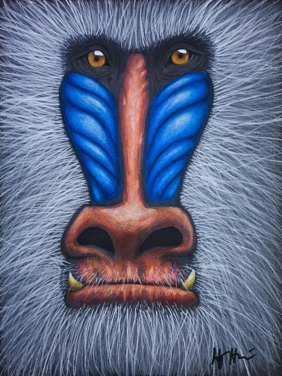 Mandrill Colors