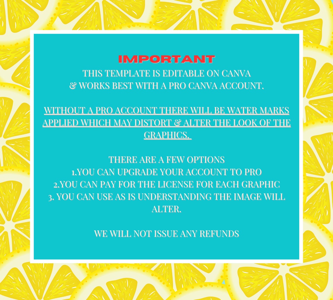 Lemonade Stand Business Plan for Young Entrepreneurs - Printable ...