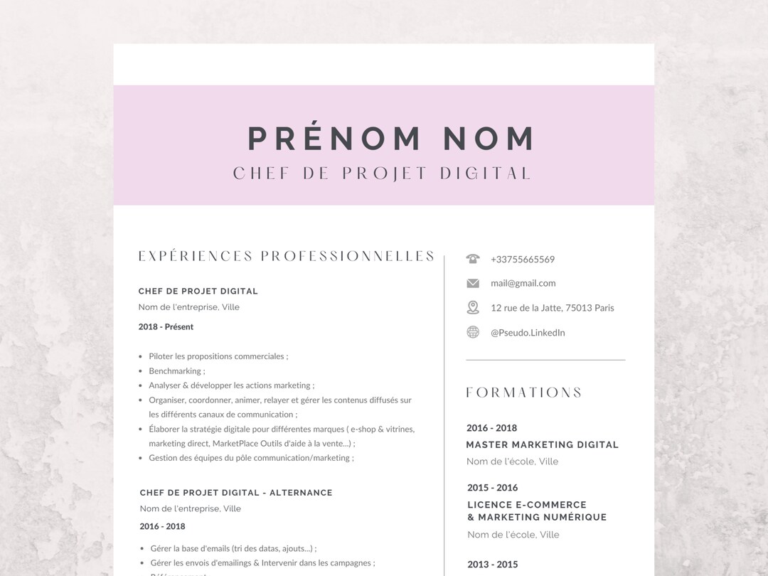 Professional Resume Template Without Photo Download for Canva - Etsy