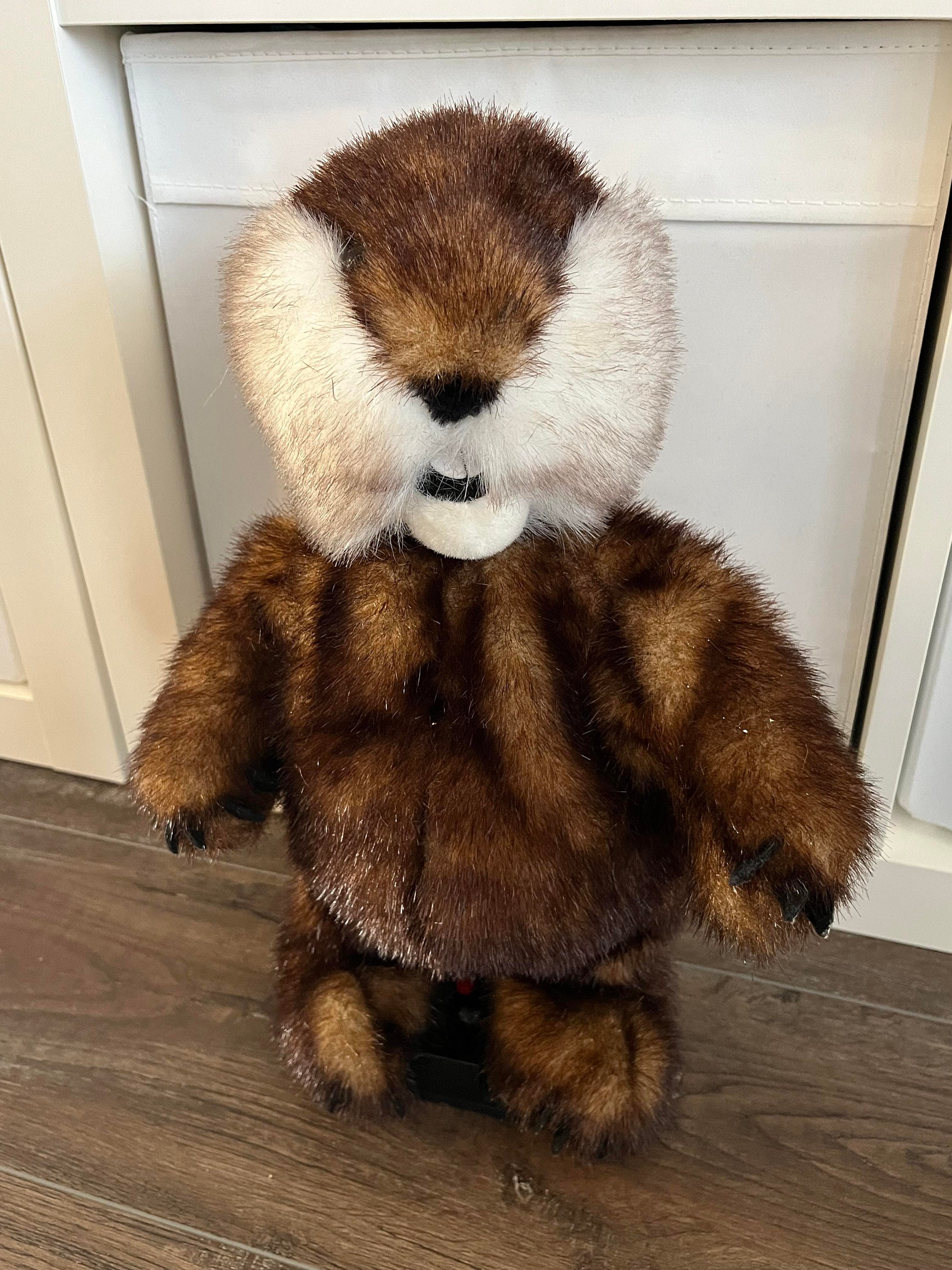 Caddyshack Gopher Dance