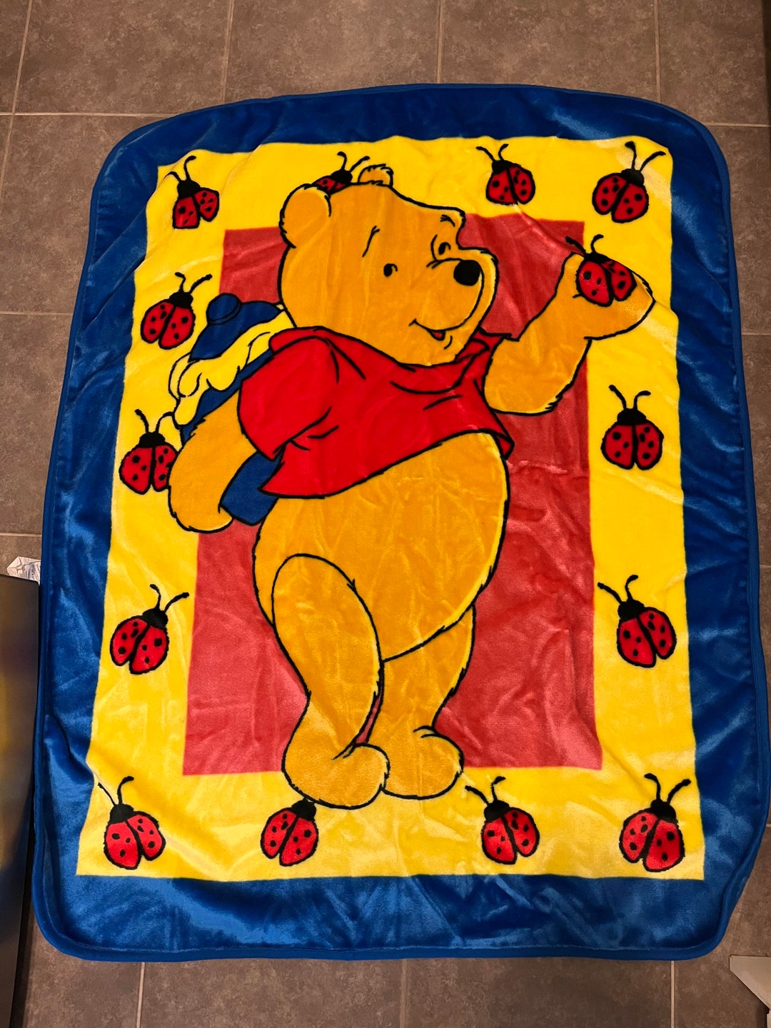 Disney Winnie the Pooh Lady Bug Plush Velour Baby Blanket - Etsy