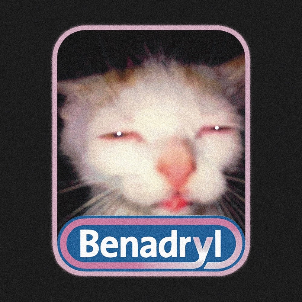 Benadryl Meme Cat T-shirt, Benny Cute & Funny Tee, Gift for Cat Lovers ...