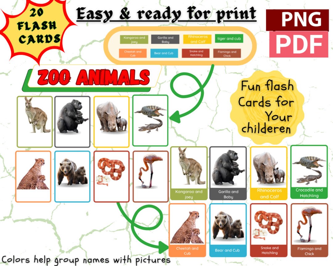 Zoo Animals/20 Flashcards Bundle/cards Educational for Kids - Etsy