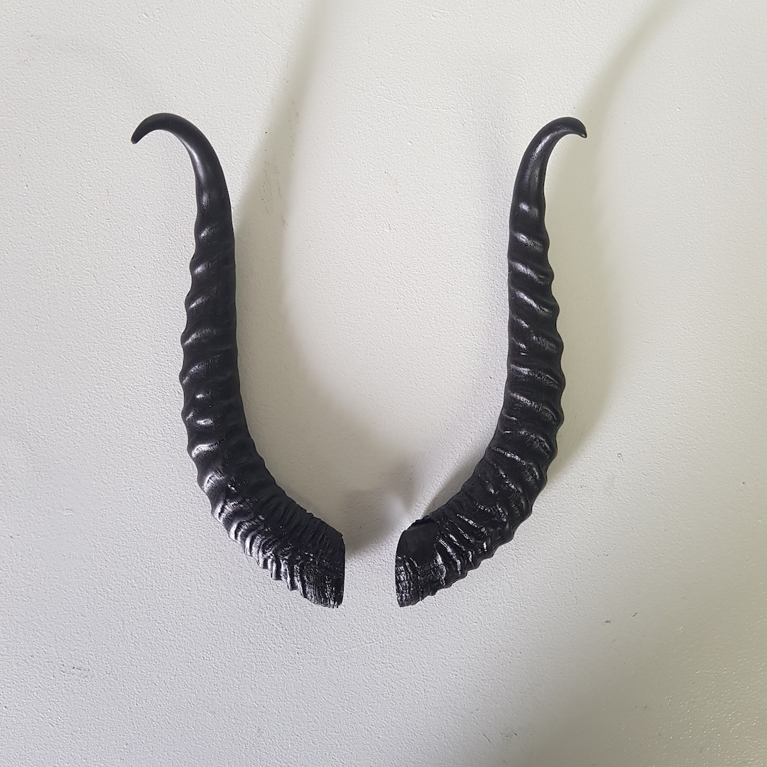 Springbok Antelope Horns, Resin Replica, Cosplay Horns, Maleficent ...