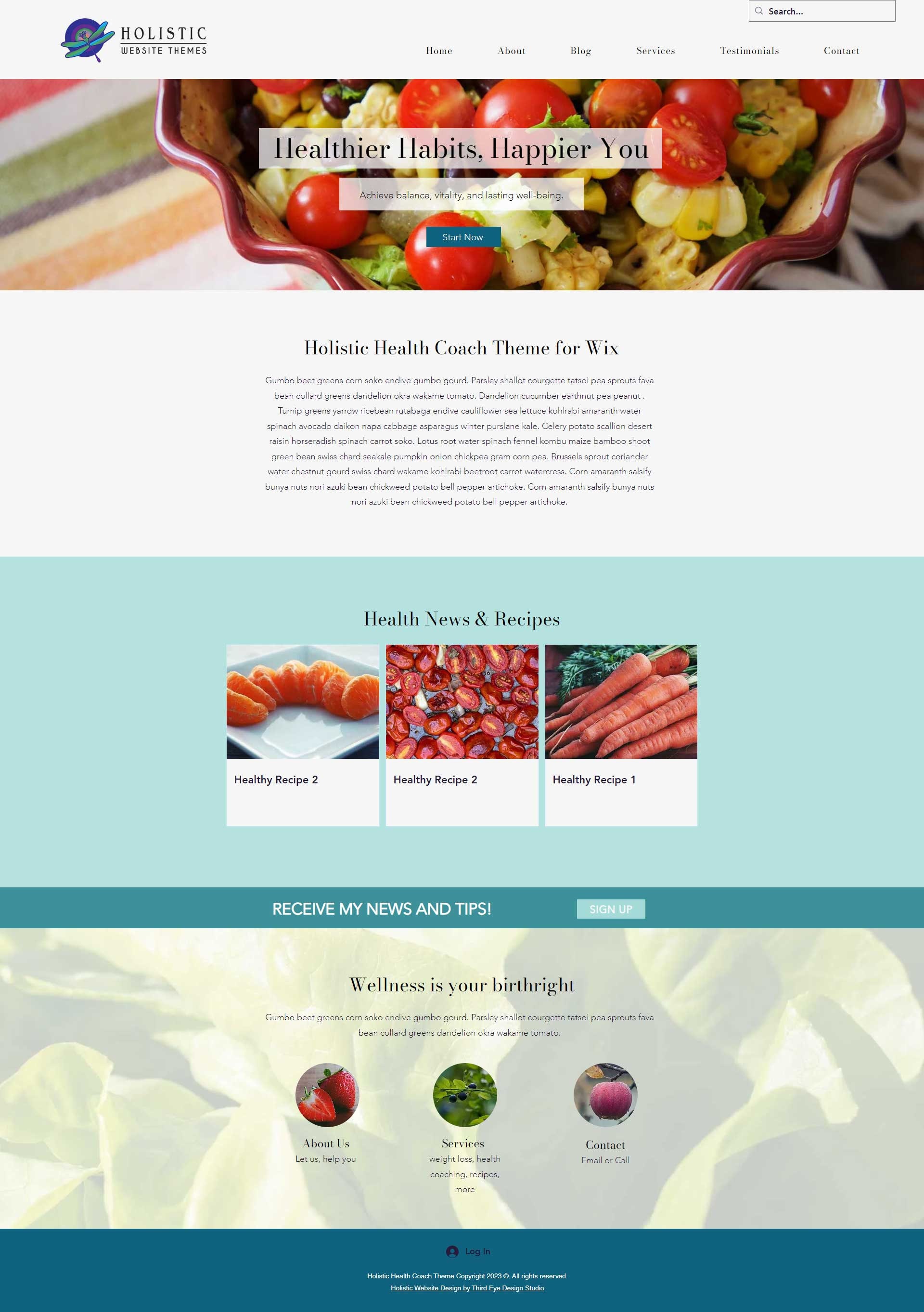 Wellness Coach Website, Wix Template Design for Health Coaches, Foodies ...