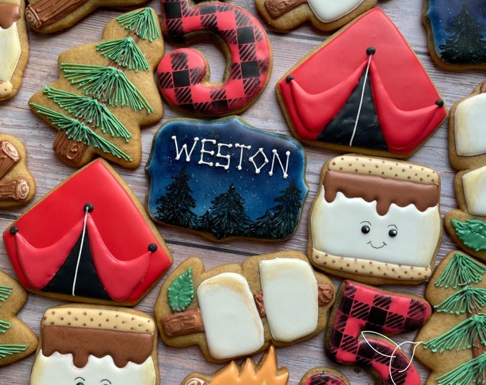 Camping Kids Birthday Theme Decorated Cookies, Woods | Wild Birthday ...