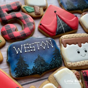 Camping Kids Birthday Theme Decorated Cookies, Woods | Wild Birthday ...