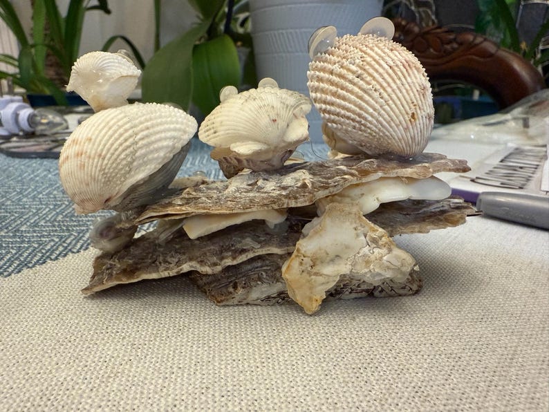 Whimsical Seashell Art Handcrafted With Seashells and Plastic Eyes - Etsy