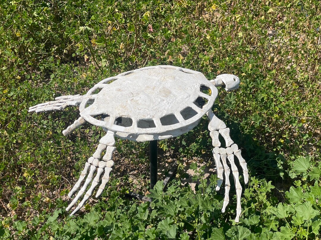 The Turtle Tossils 80cm - Etsy