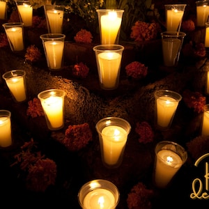 Dia De Los Muertos Bundle of Desktop Background Images Zoom - Etsy