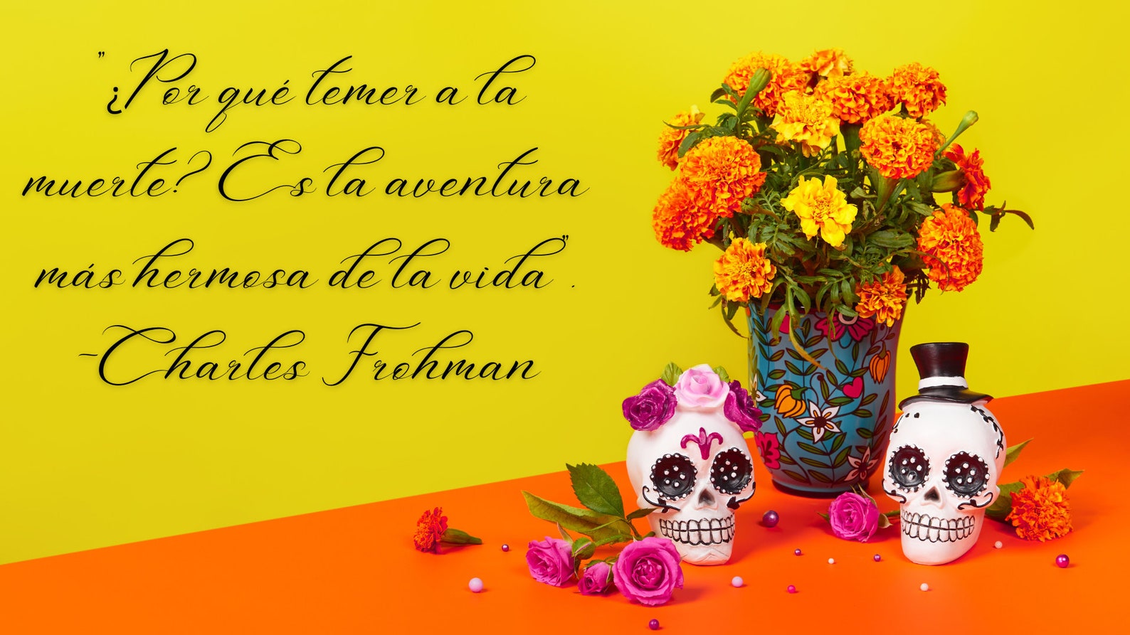 Dia De Los Muertos Bundle of Desktop Background Images Zoom - Etsy